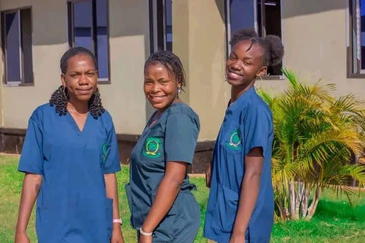 Rockview University